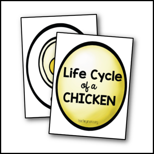 Chicken Life Cycle Posters – Printables Club